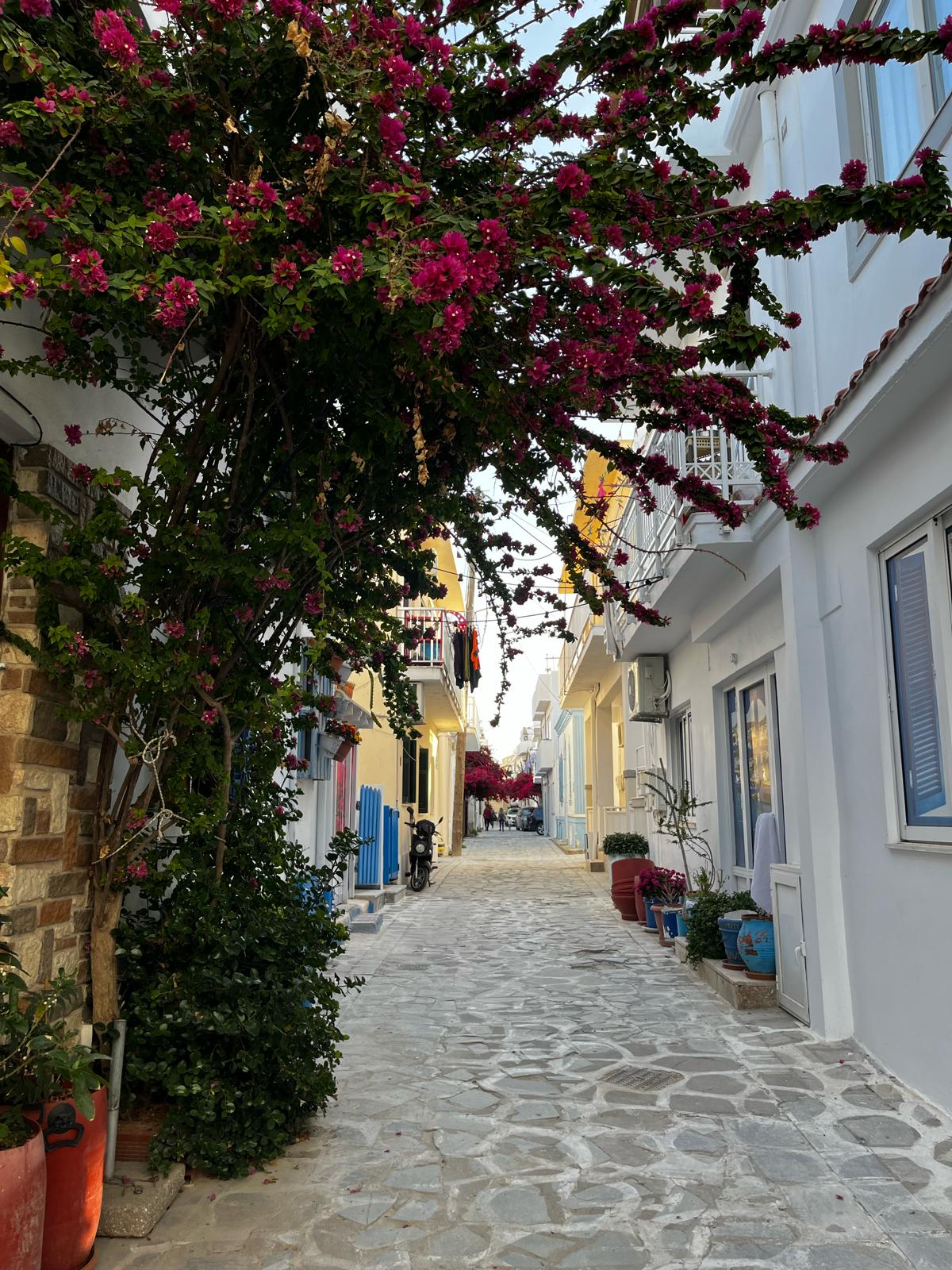 Kos Chronicles: A Tale of TUI’s Hotel Rep Internship Abroad – EhB ba ...